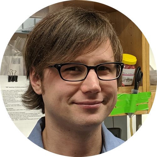 Network – dfg-ferroptosis.net