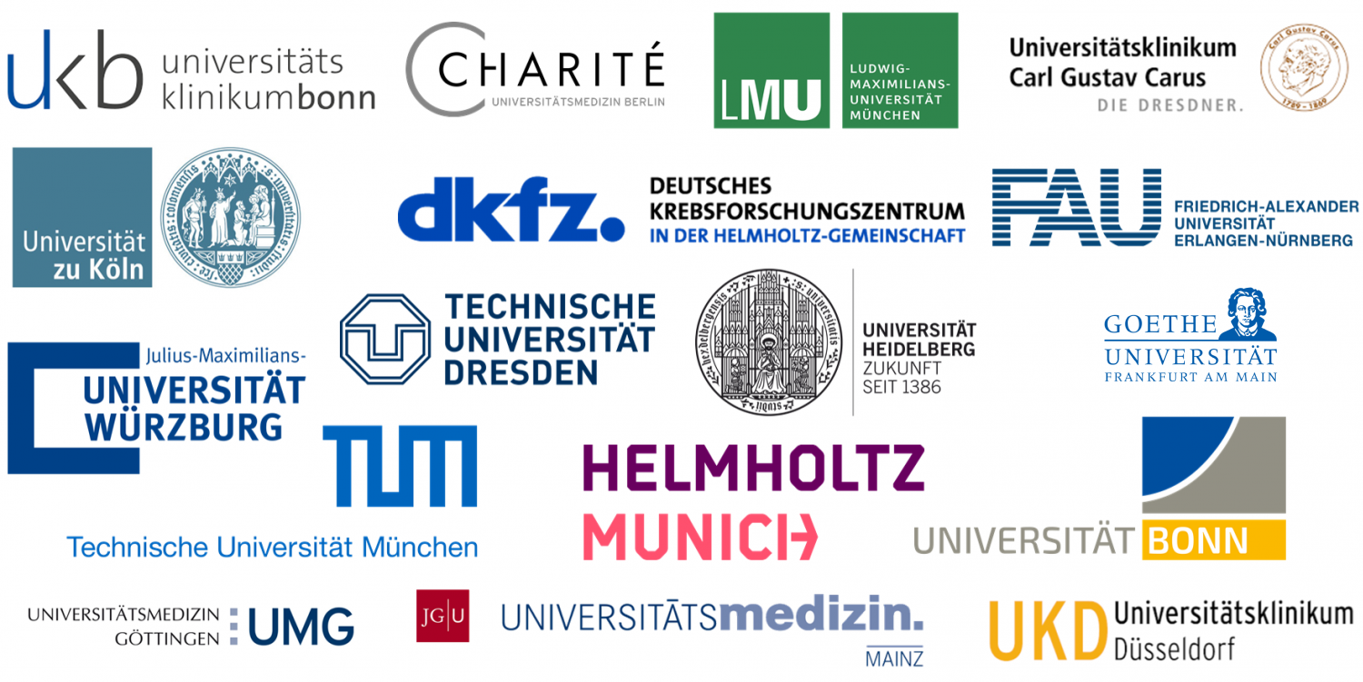 Network – dfg-ferroptosis.net